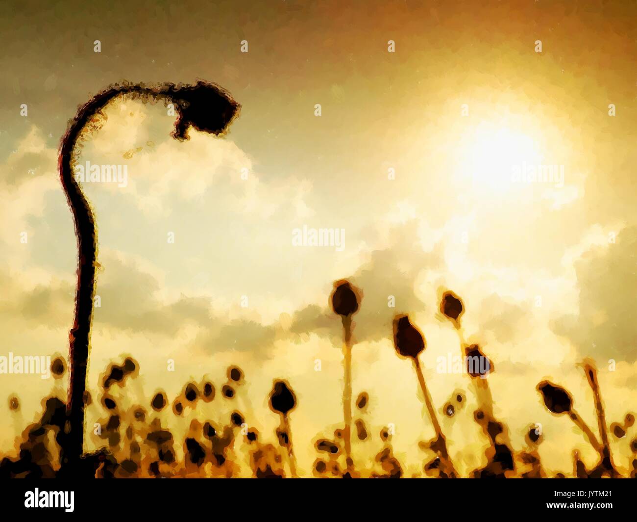 Watercolor paint. Paint effect.Long dry stalk of poppy seed. Evening ...