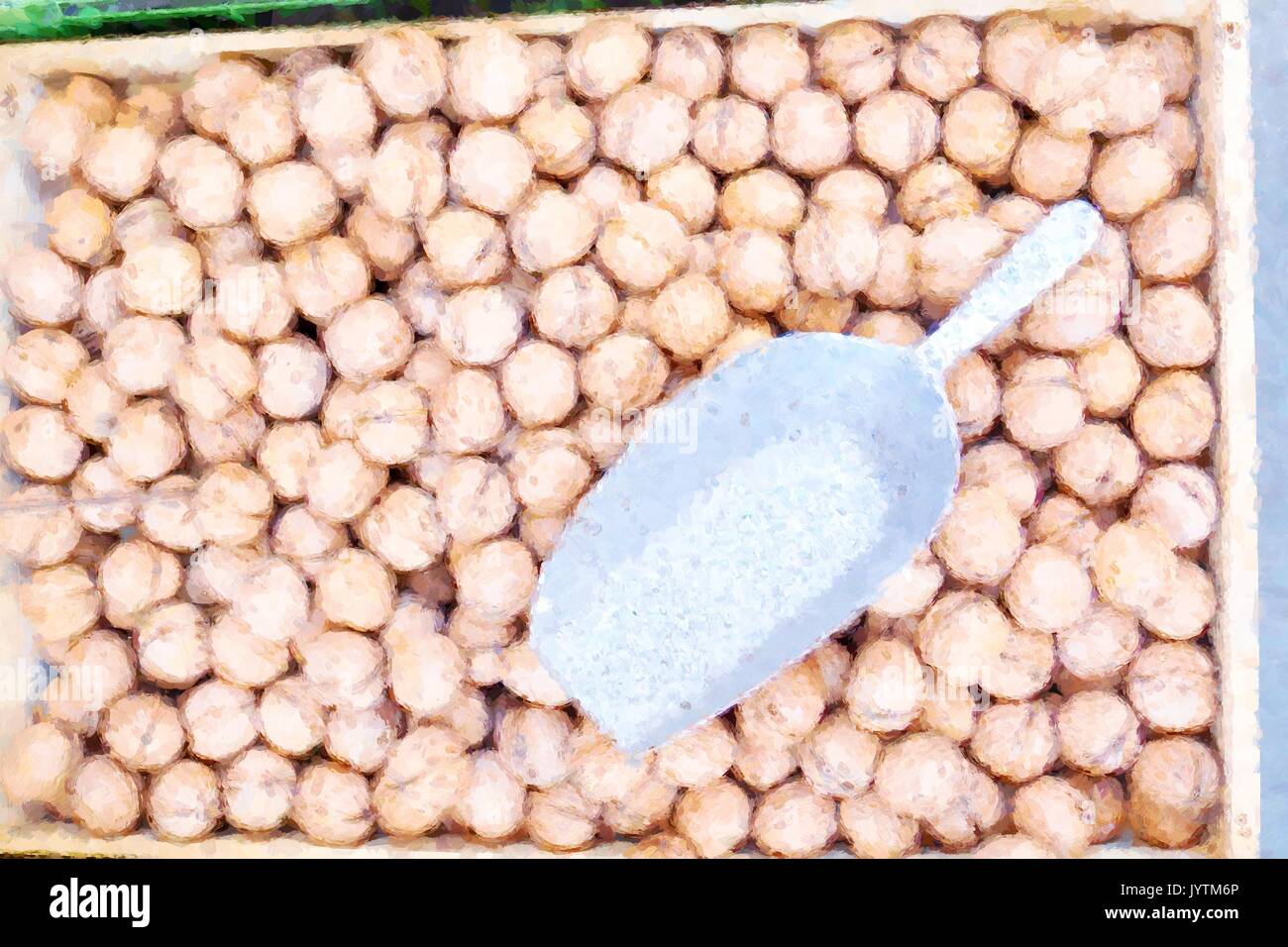 Watercolor paint. Paint effect. Fresh healthy bio walnut. Walnuts in ...
