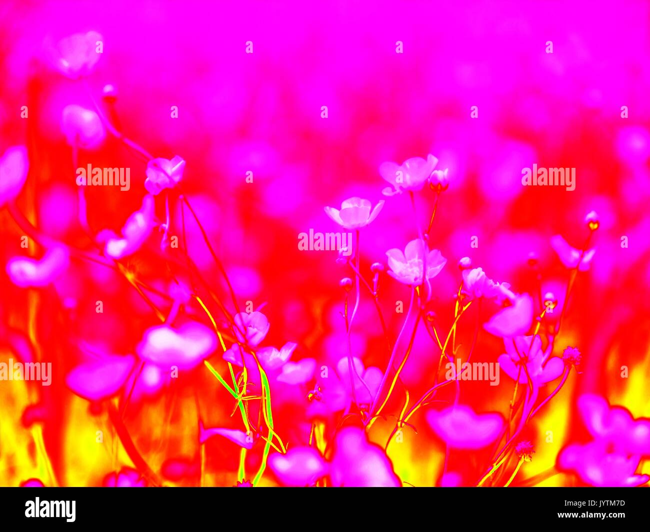 Vivid rays template. Strips mixed into whole spectrum background Stock ...