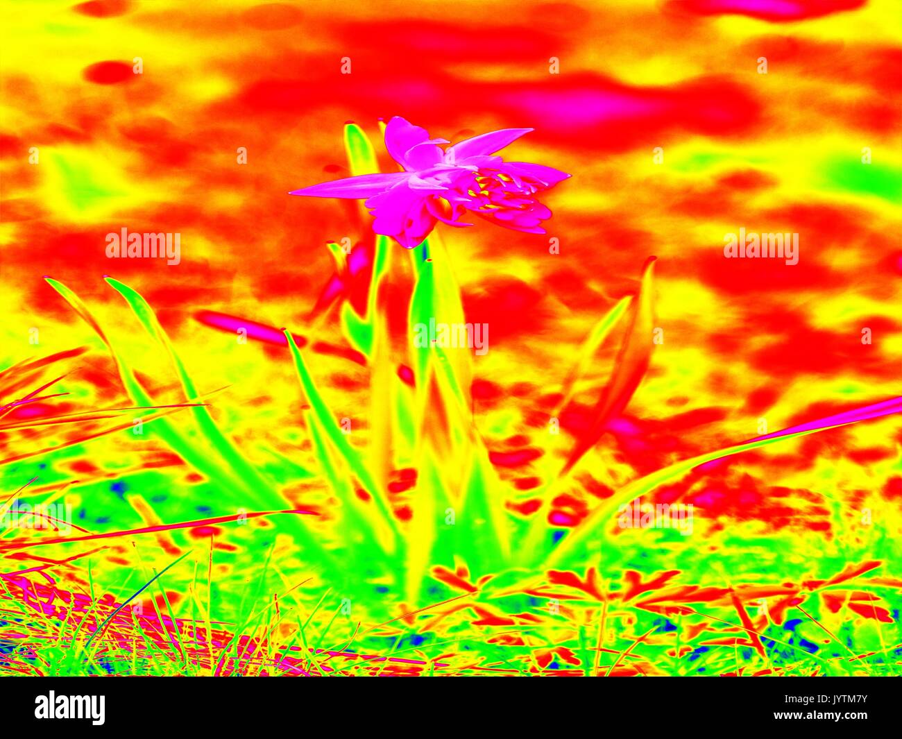 Vivid rays template. Strips mixed into whole spectrum background Stock ...