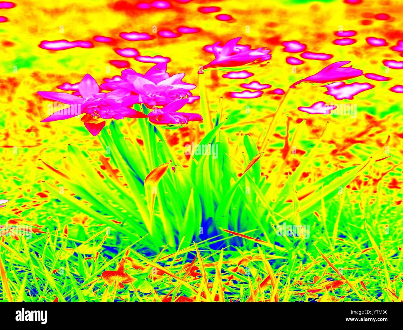 Vivid rays template. Strips mixed into whole spectrum background Stock ...