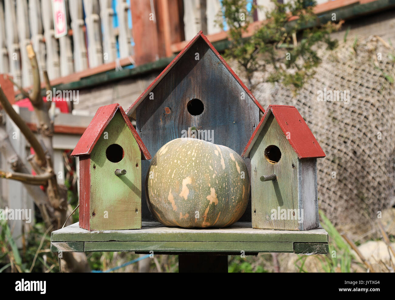 Three birdhouses hi-res stock photography and images - Alamy