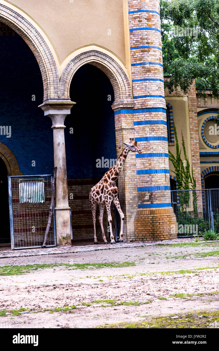 Zoological Gardens and Aquarium in Berlin Germany.The Berlin Zoo is the ...