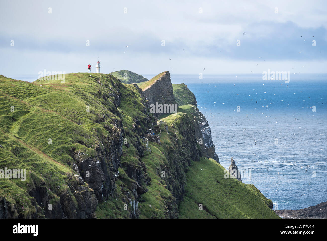 Mykines island, Faroe Islands, Denmark. Cliffs on the way to the ...
