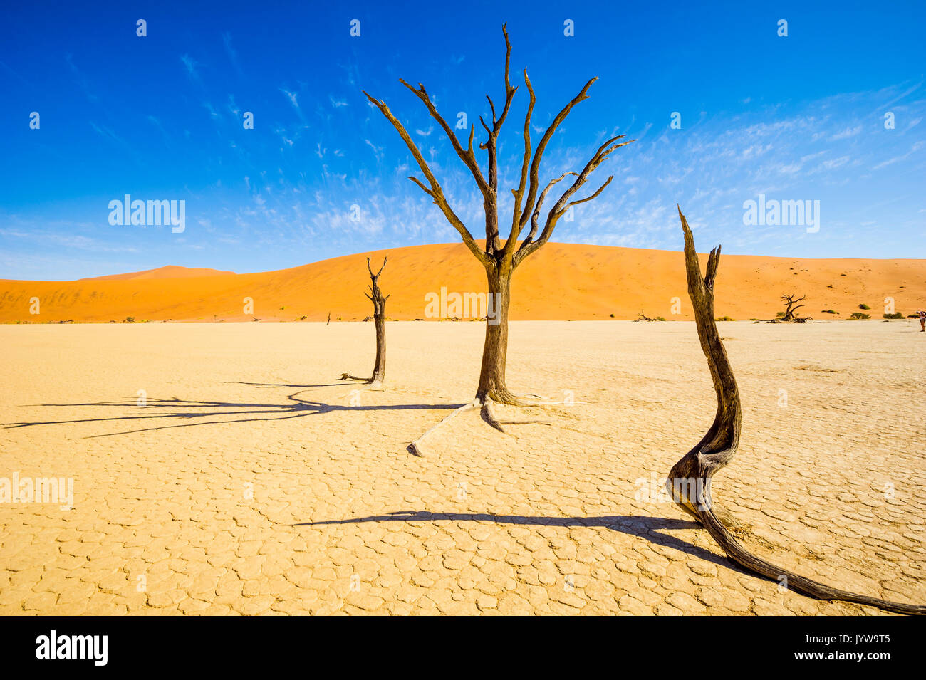 Deadvlei, Namib desert, Namibia, Africa. Dead acacia pan Stock Photo ...