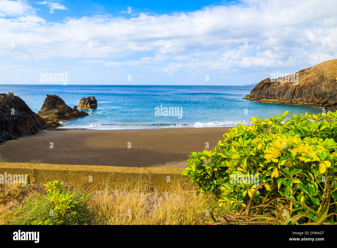 View of beautiful Prainha beach with tropical flowers in foreground ...