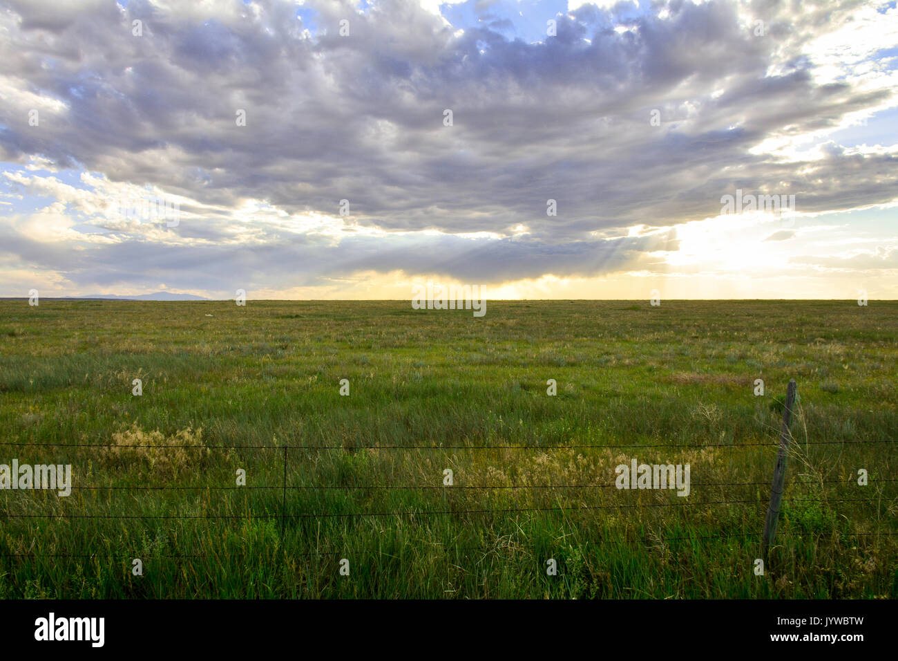 Limon colorado hi-res stock photography and images - Alamy