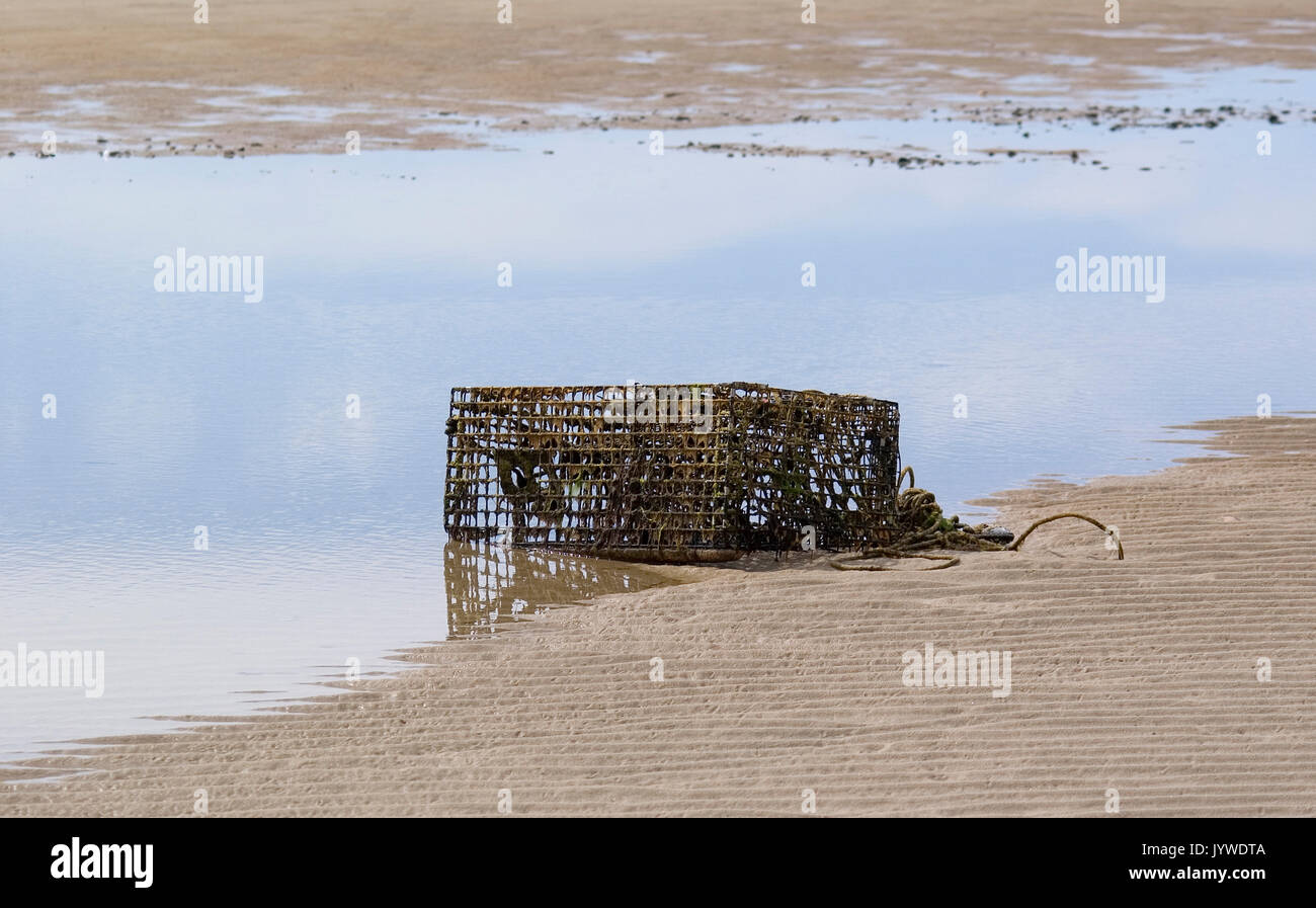 A lost lobster trqp on Cold Storage Beach - Dennis, MA - Cape Cod Stock ...