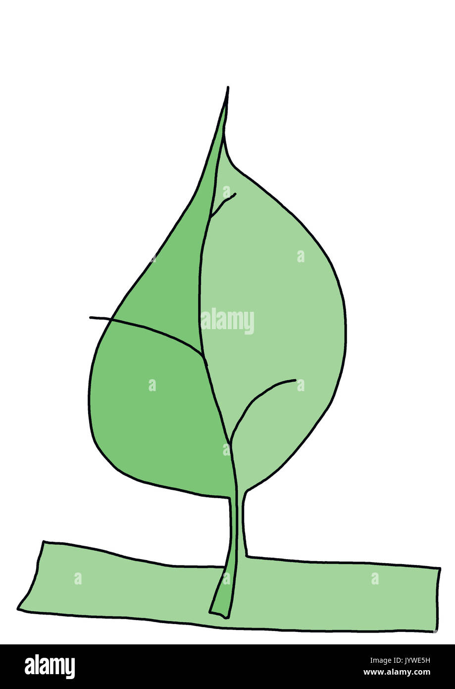 green leaf drawing illustration Stock Photo - Alamy
