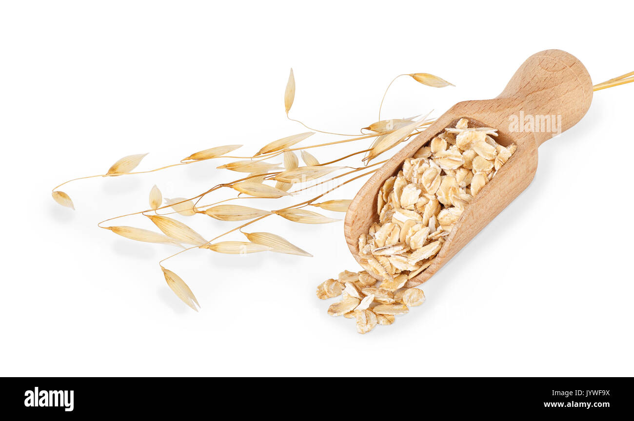 oat flakes in scoop and ripe oat ears isolated on white background with ...