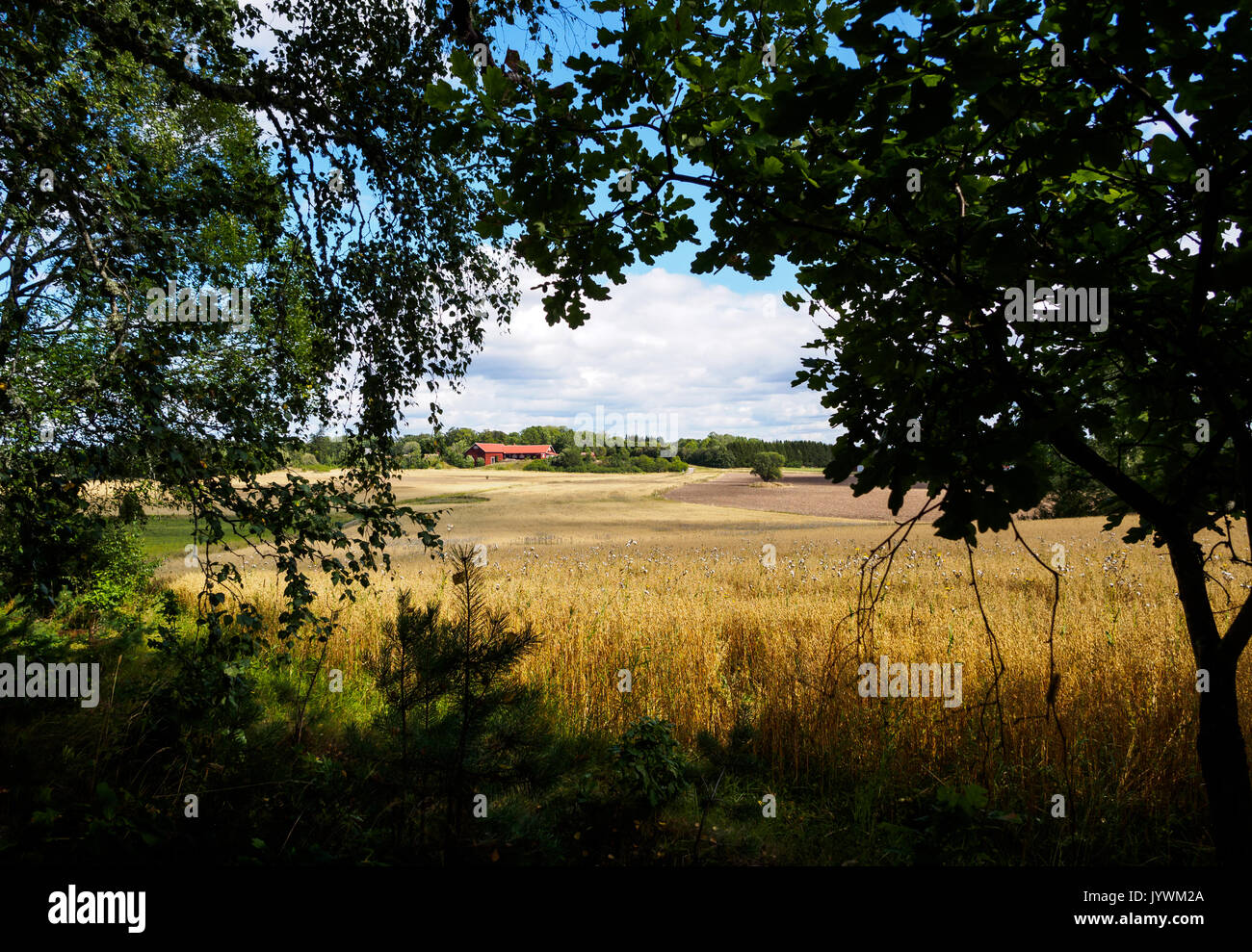 Organic farm house hi-res stock photography and images - Alamy
