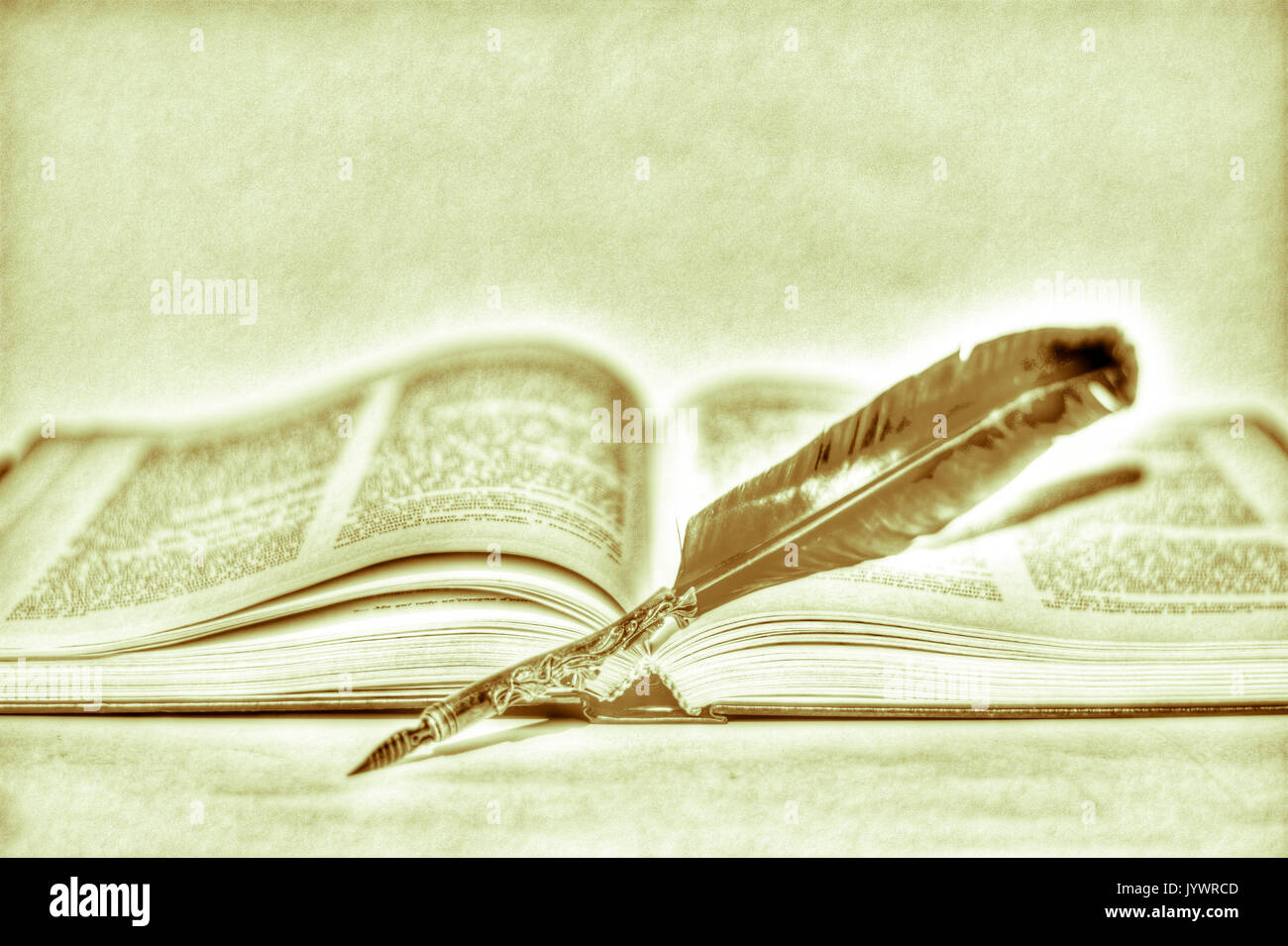 an ink feather Stock Photo - Alamy