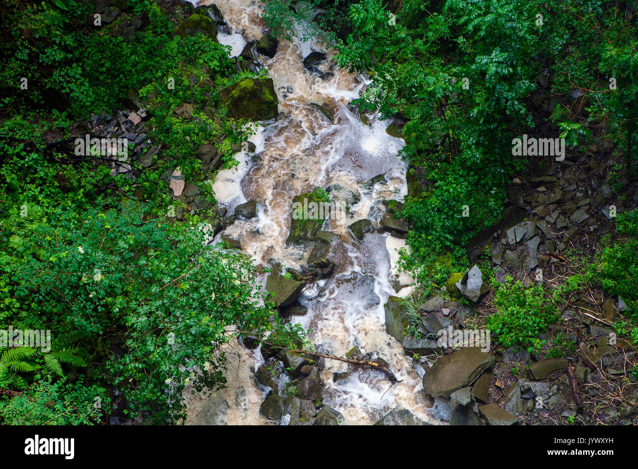 Aerial view river rock forest hi-res stock photography and images - Alamy