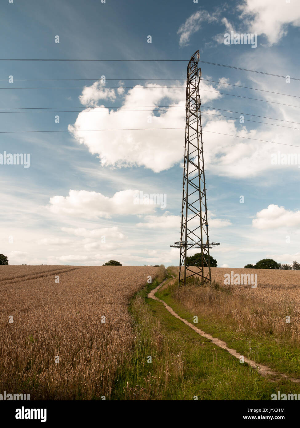 landscape scene of pylon in a wheat field in the country farm; England ...
