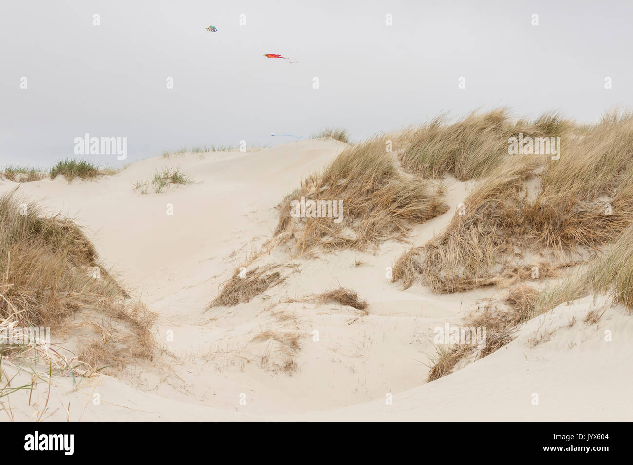 Beach on Romo Island. Denmark, Europe Stock Photo - Alamy