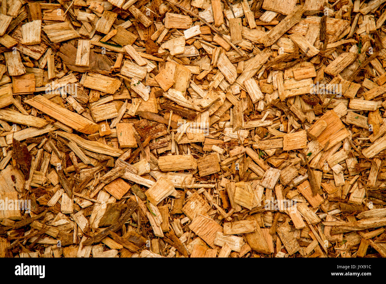 Sliver wood hi-res stock photography and images - Alamy