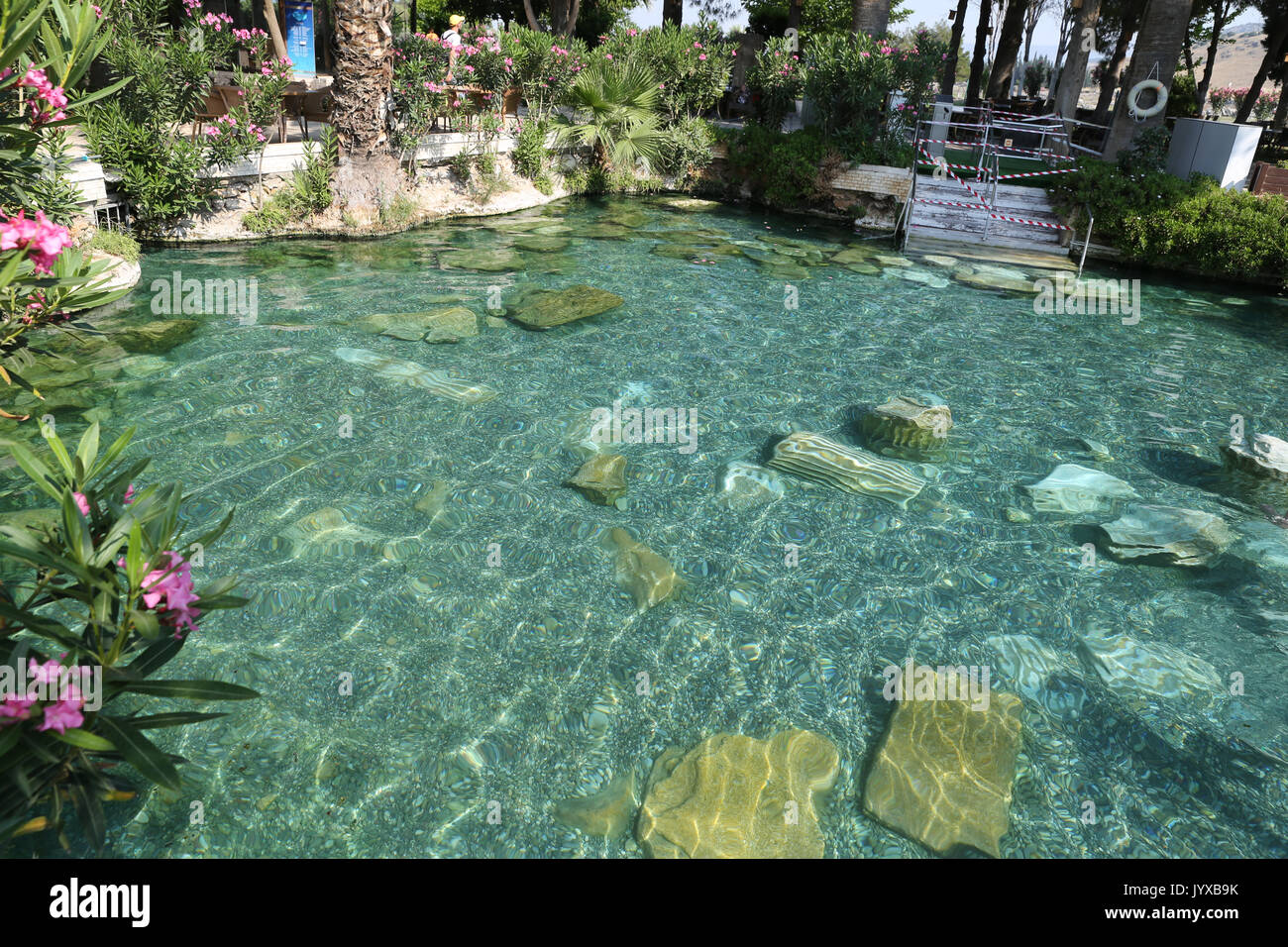 Antique Pool Pamukkale Turkey Pamukkale Hot Springs