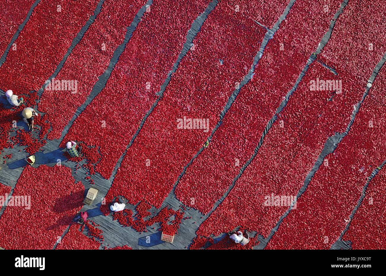 Bayingolin, China's Xinjiang Uygur Autonomous Region. 20th Aug, 2017 ...