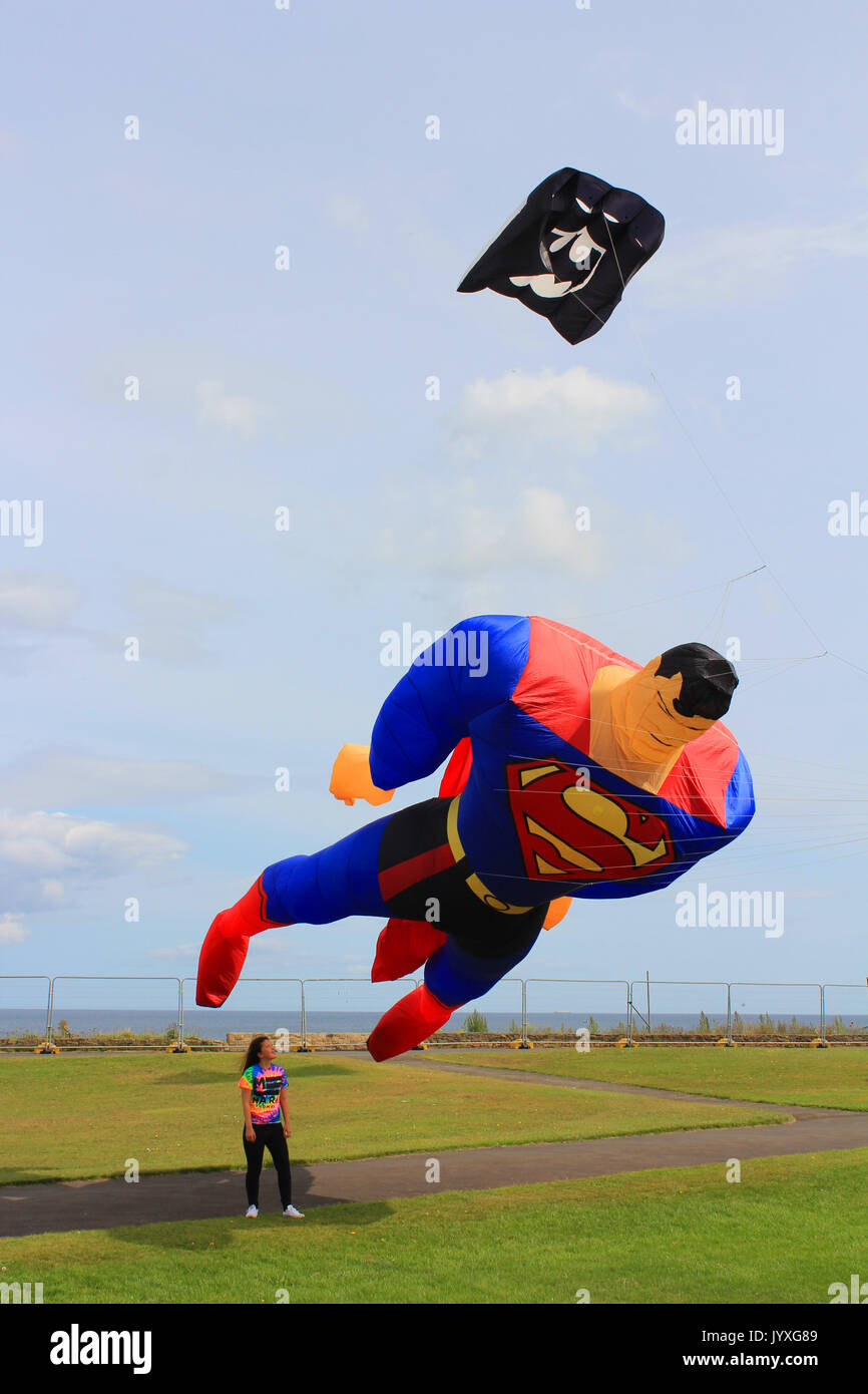 Finding nemo alamy hi-res stock photography and images - Alamy