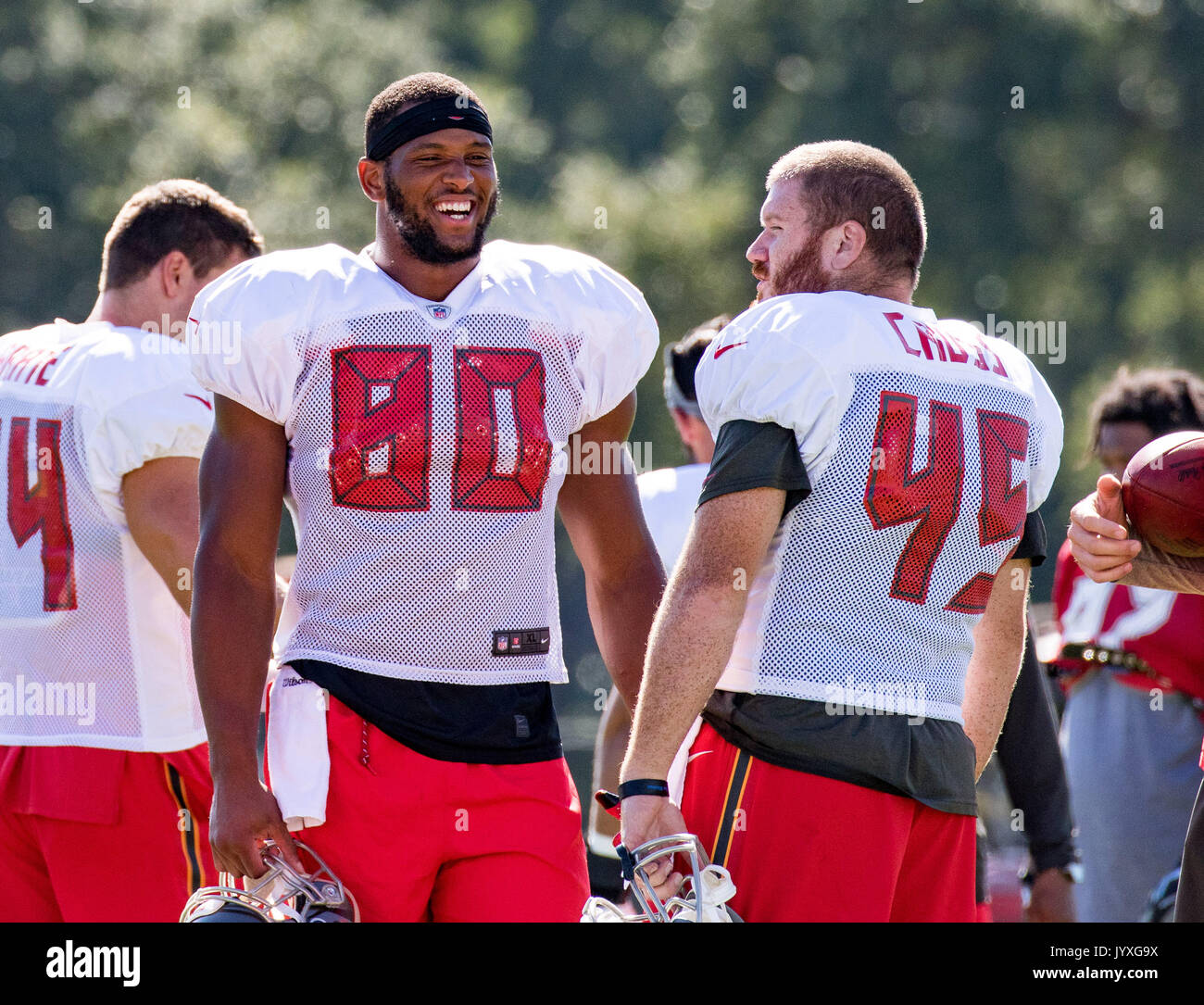 Tampa bay buccaneers tight end hi-res stock photography and images - Alamy
