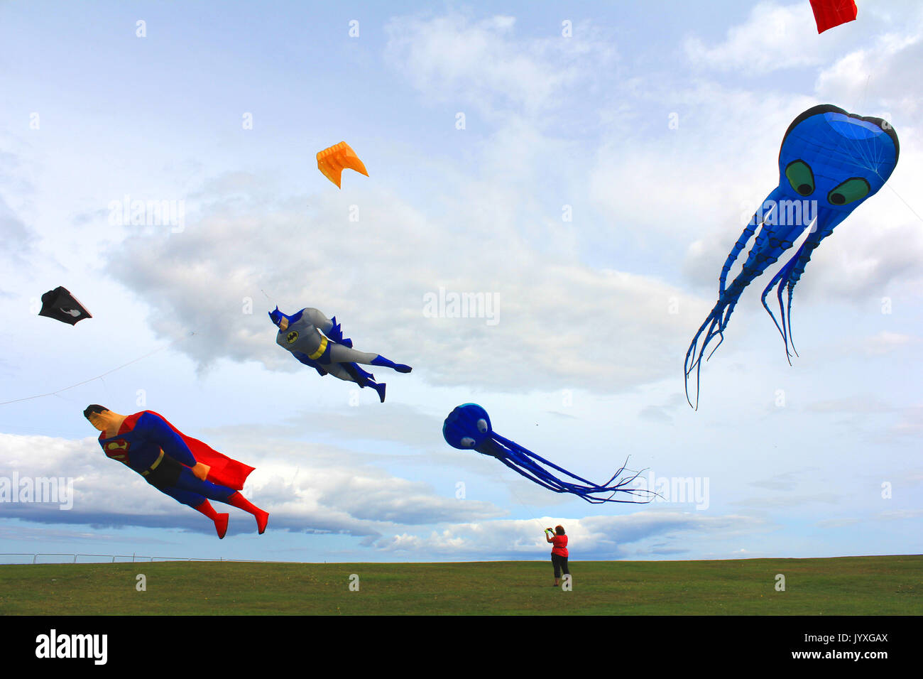 Finding nemo alamy hi-res stock photography and images - Alamy