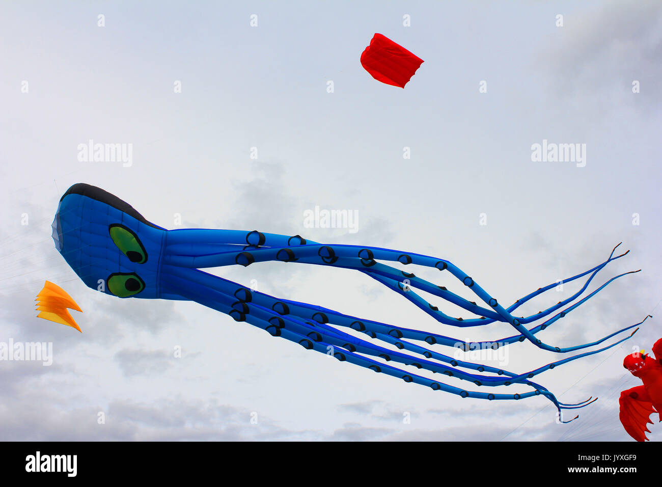 Finding nemo alamy hi-res stock photography and images - Alamy