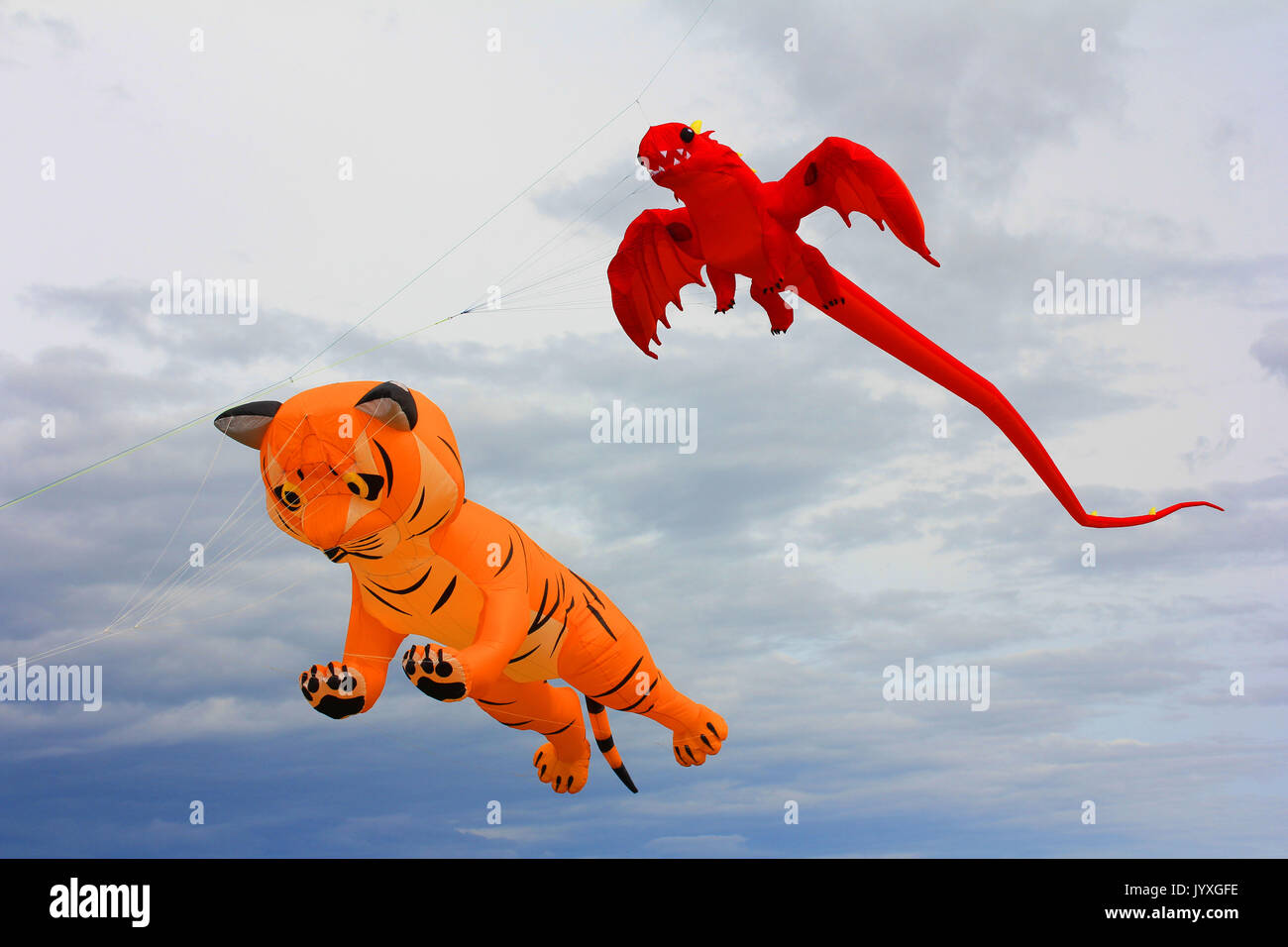 Finding nemo alamy hi-res stock photography and images - Alamy