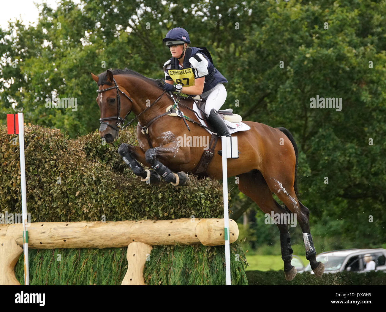 Congleton, UK. 20th Aug, 2017. Somerford Park International horse ...