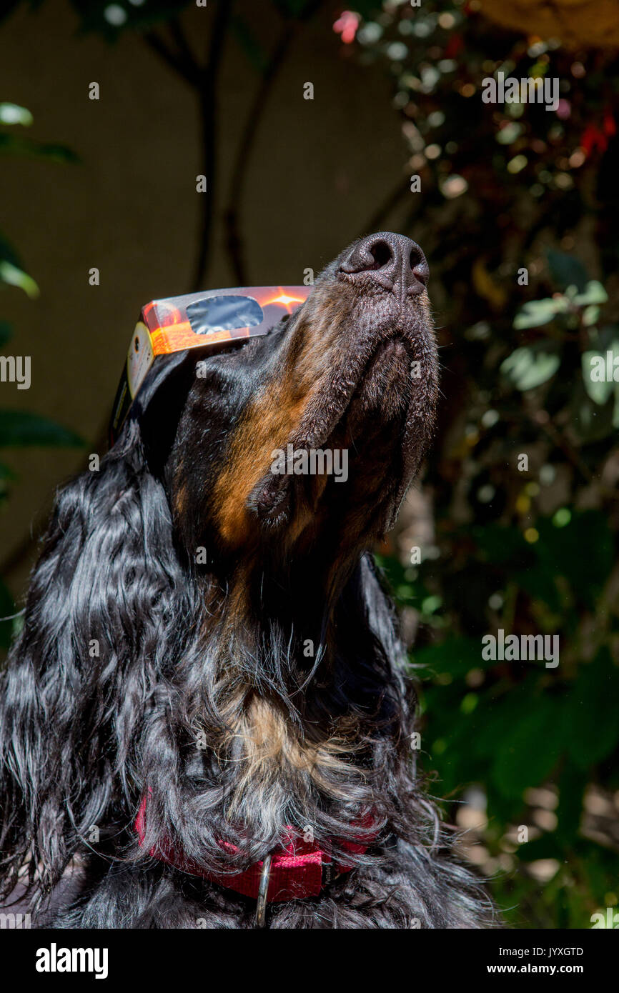 Wonder pets hi-res stock photography and images - Alamy