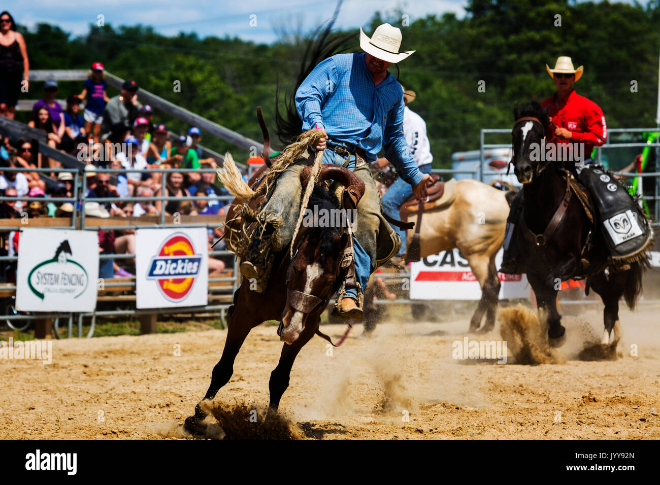 Ram rodeo hi-res stock photography and images - Alamy