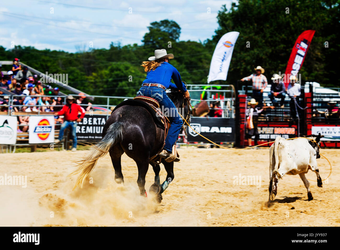 Ram rodeo hi-res stock photography and images - Alamy