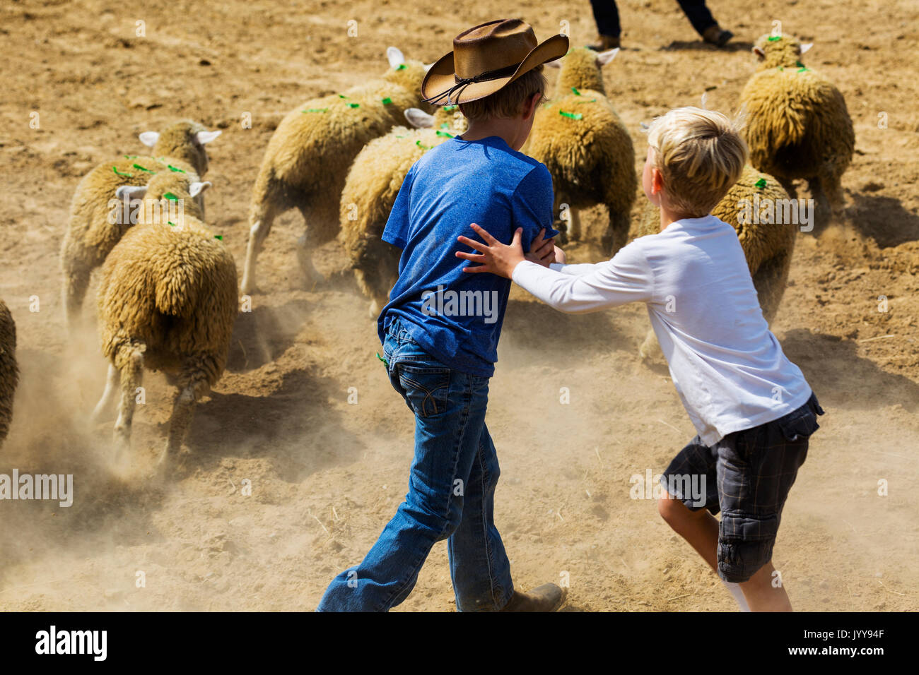 Children and ram hi-res stock photography and images - Alamy