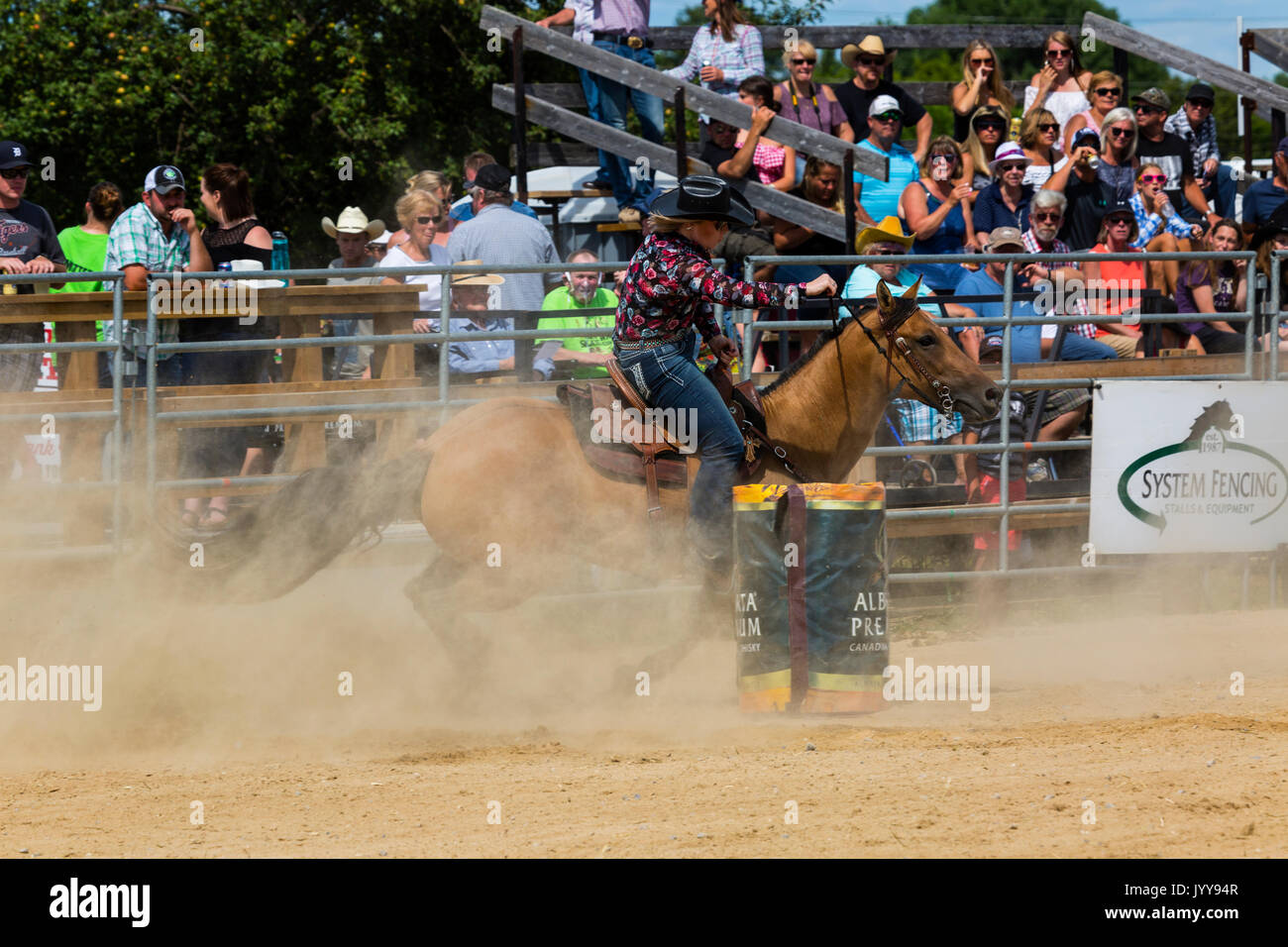 Ram racing team hi-res stock photography and images - Alamy