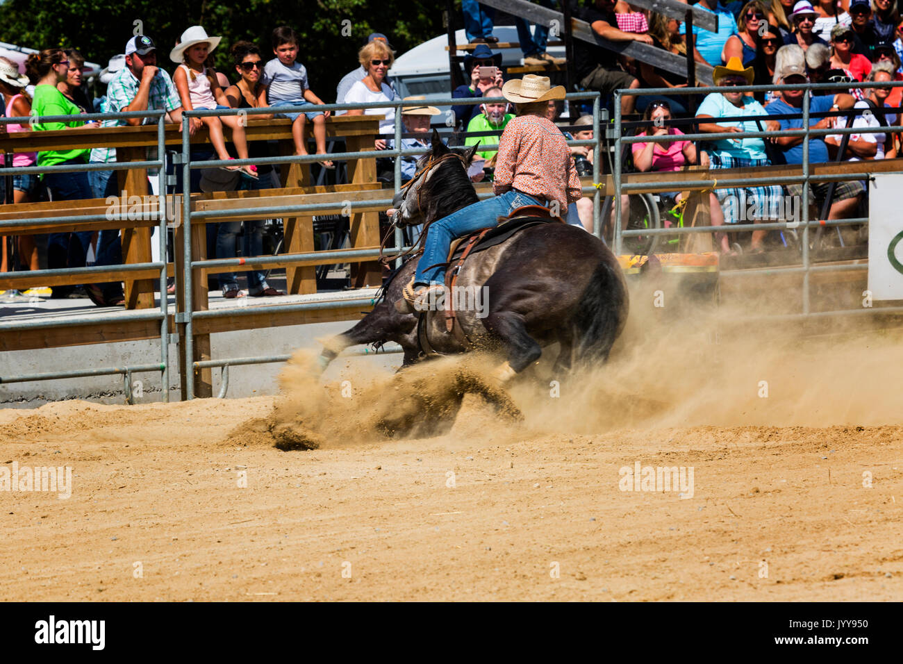 Exeter RAM Rodeo Exeter Ontario Canada Aug 2017 Stock Photo - Alamy