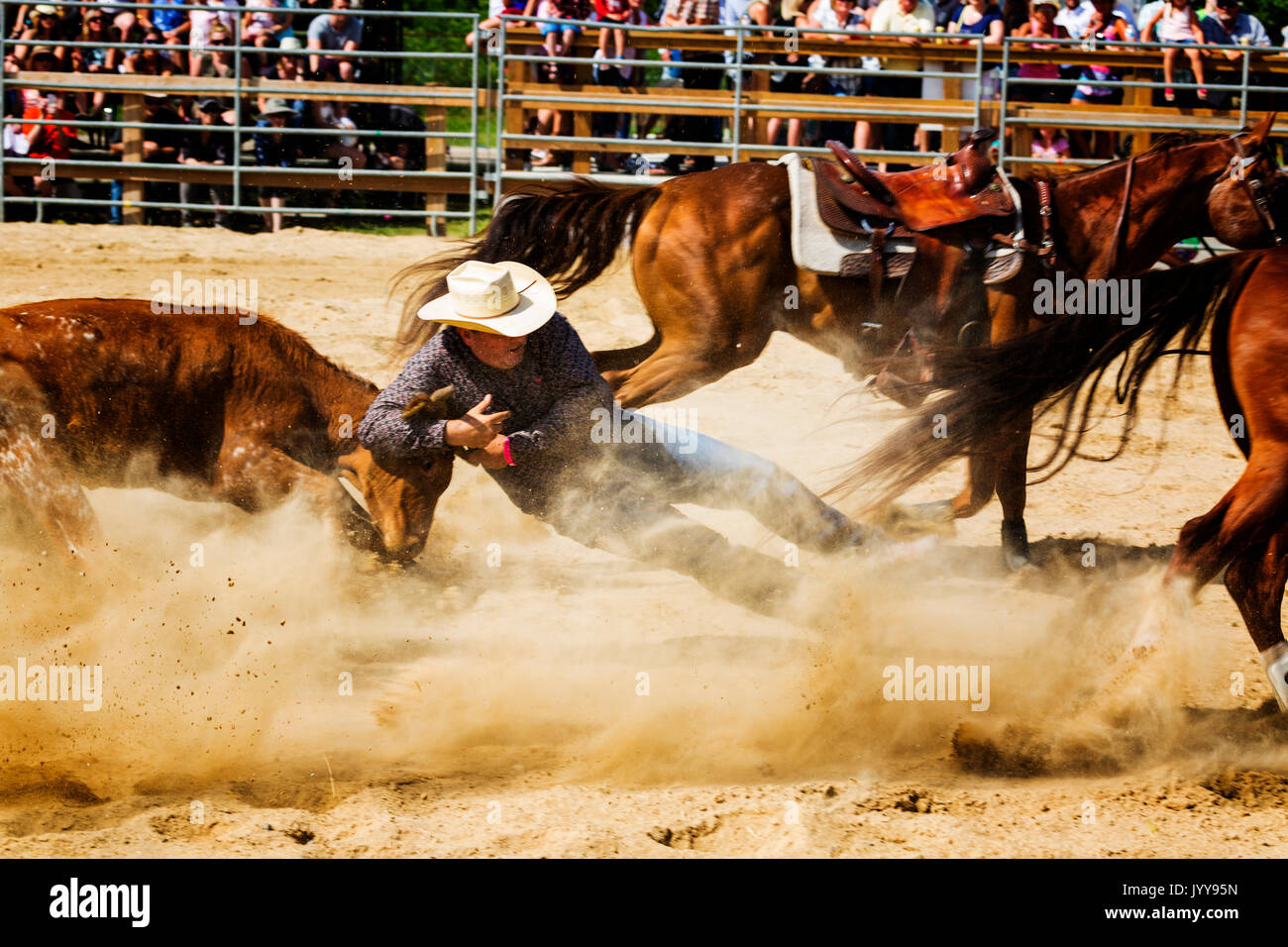 Exeter ontario High Resolution Stock Photography and Images - Alamy