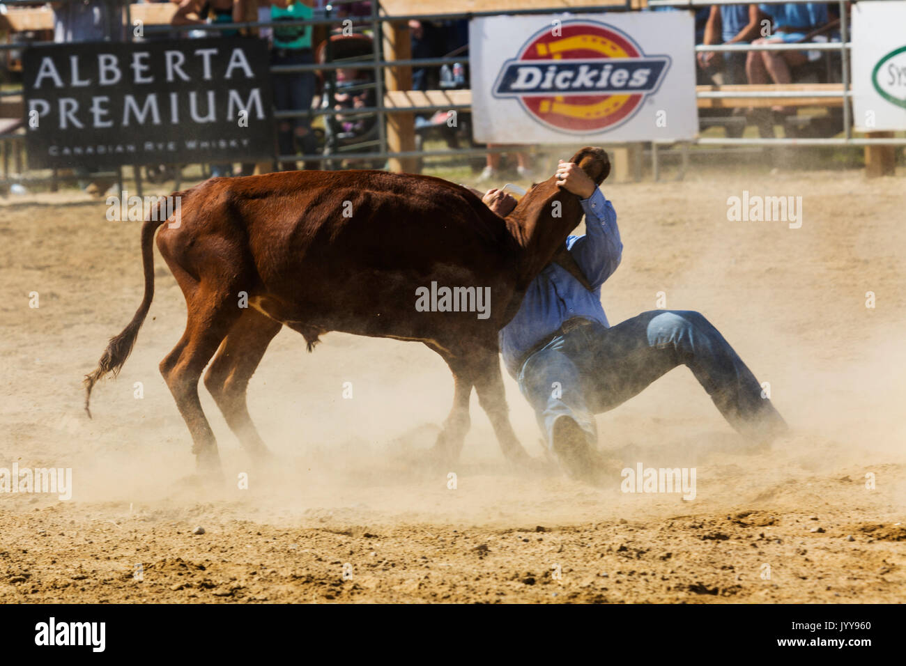 Exeter RAM Rodeo Exeter Ontario Canada Aug 2017 Stock Photo - Alamy