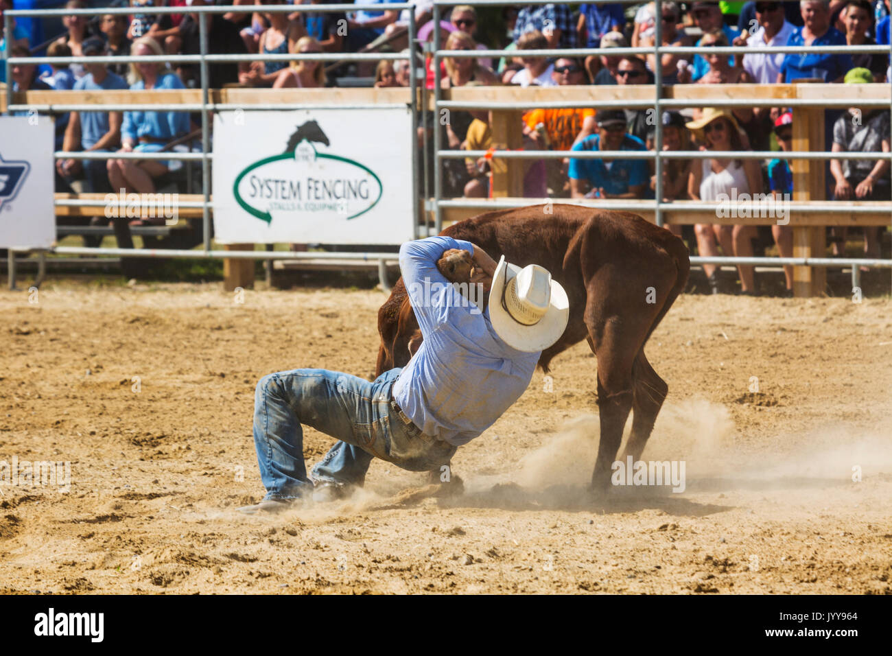 Exeter RAM Rodeo Exeter Ontario Canada Aug 2017 Stock Photo - Alamy