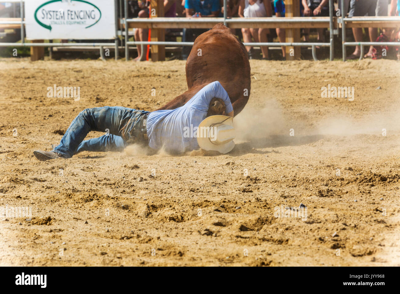 Exeter RAM Rodeo Exeter Ontario Canada Aug 2017 Stock Photo - Alamy