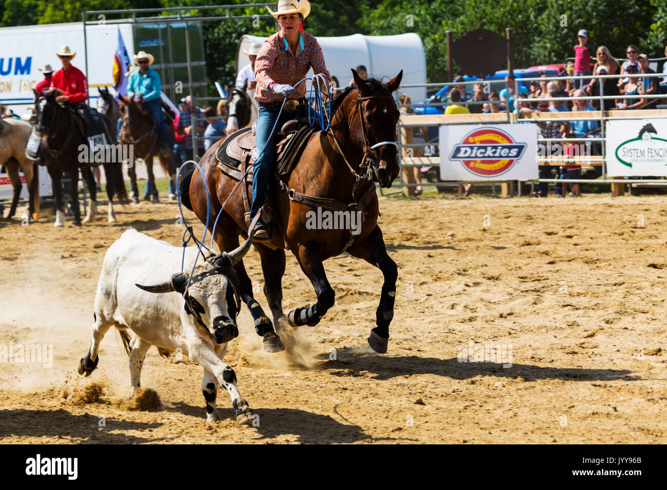 Cowboys steer wrestling at rodeo hi-res stock photography and images ...