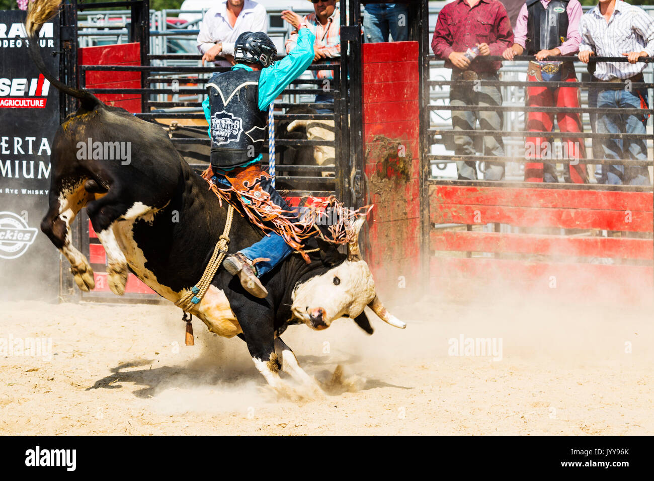 Exeter RAM Rodeo Exeter Ontario Canada Aug 2017. Bull riding Stock ...
