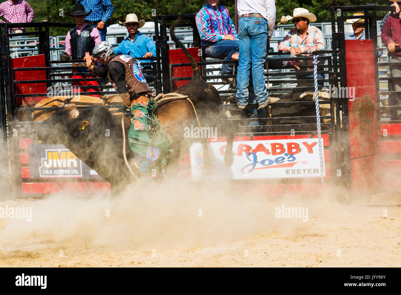 Riding ram hi-res stock photography and images - Alamy