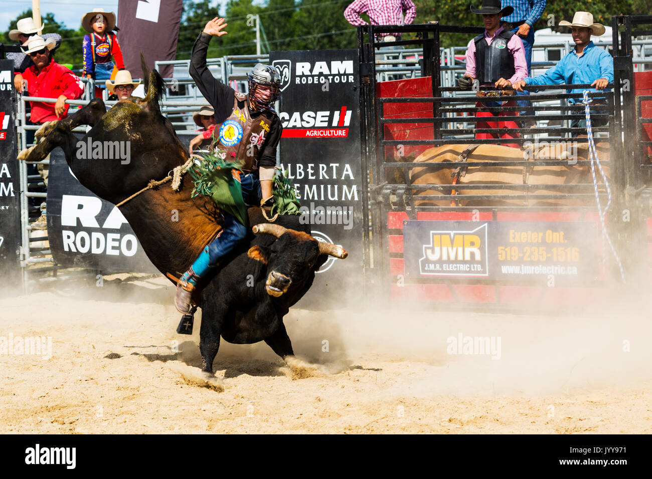 Riding ram hi-res stock photography and images - Alamy