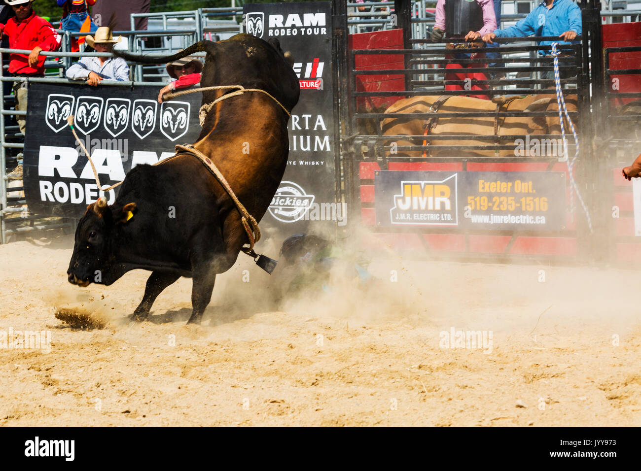 Exeter RAM Rodeo Exeter Ontario Canada Aug 2017. Bull riding Stock ...