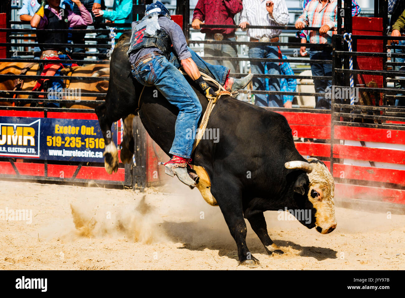 Exeter RAM Rodeo Exeter Ontario Canada Aug 2017. Bull riding Stock ...