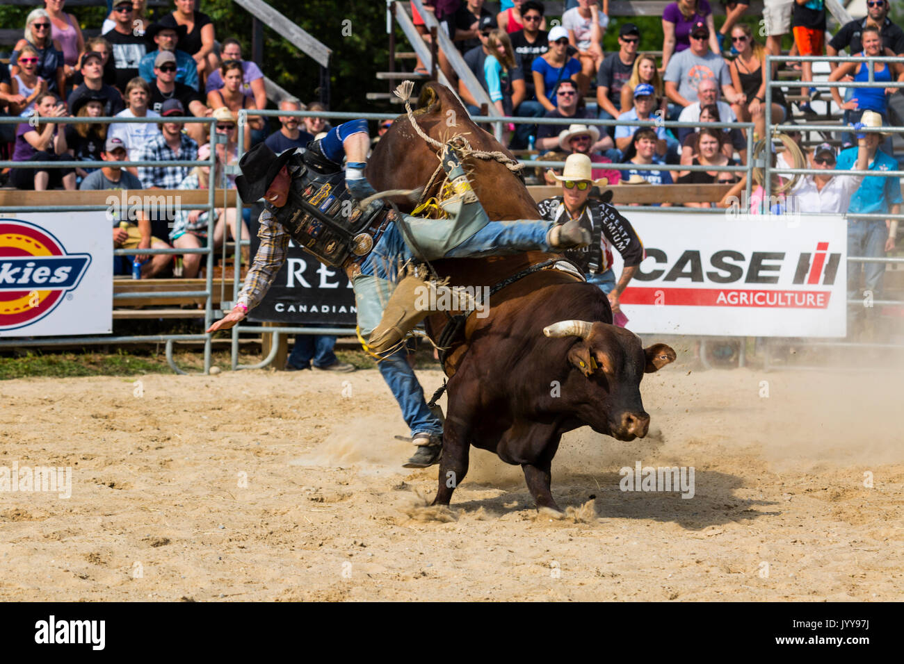 Exeter ontario hi-res stock photography and images - Alamy