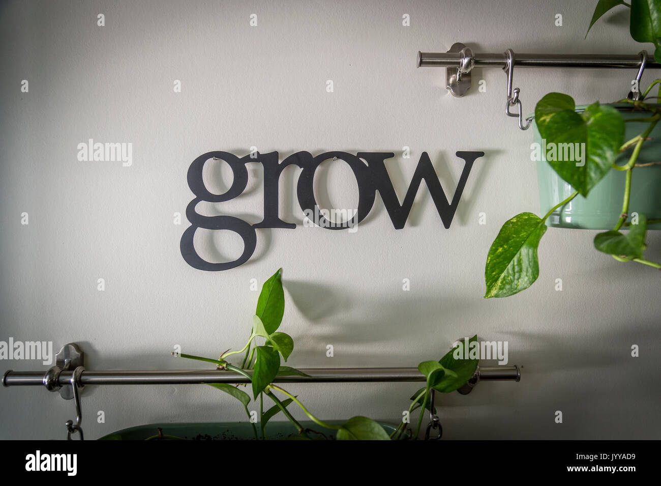 Grow Sign With Houseplants Stock Photo - Alamy