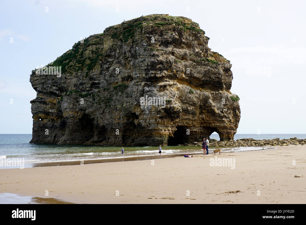 Marsden rock rock formation in hi-res stock photography and images - Alamy