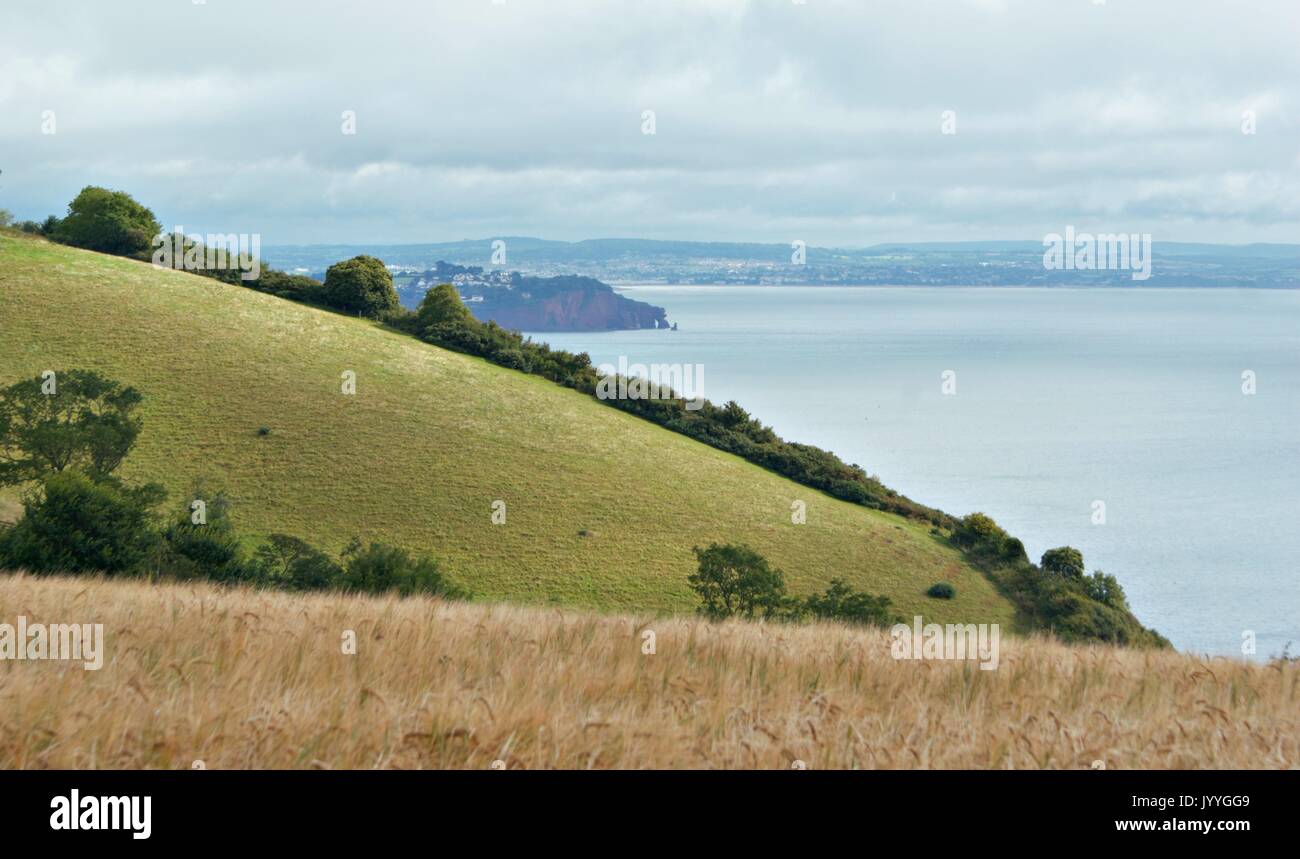 Labrador reflection hi-res stock photography and images - Alamy
