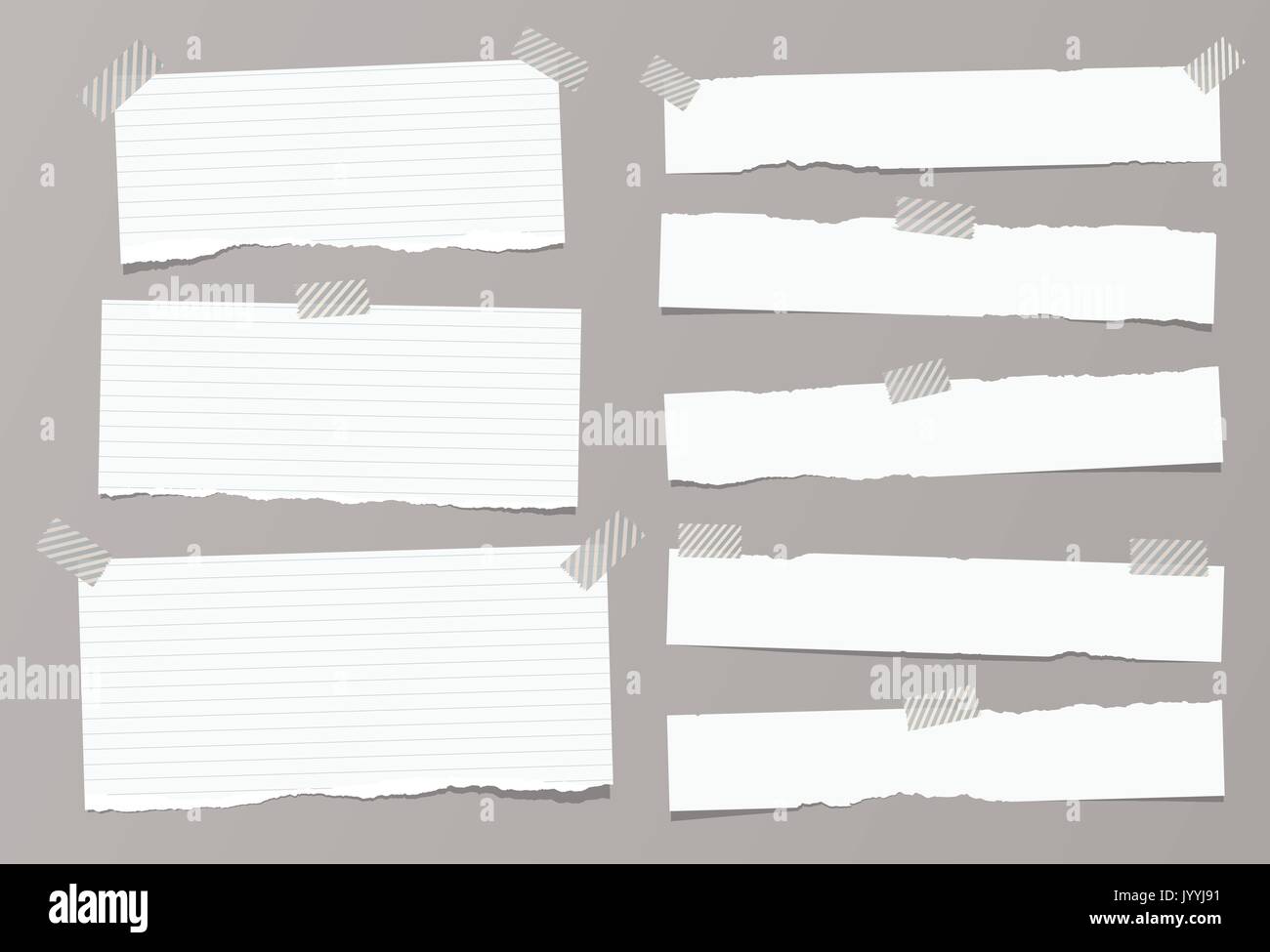 White ripped ruled, lined note, copybook, notebook paper strips stuck ...