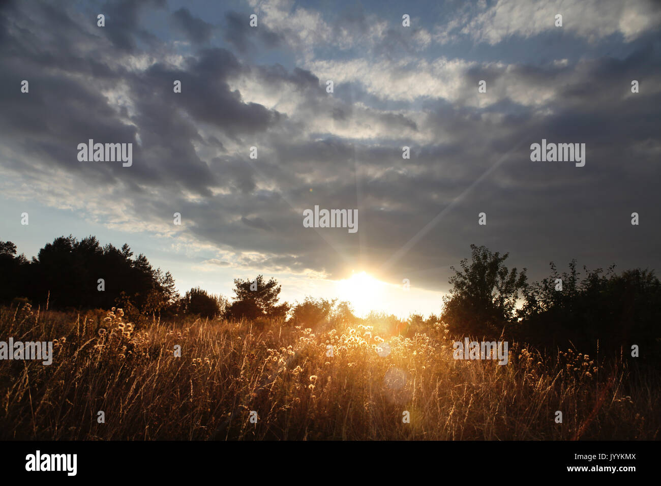 sunset with clouds over field at autumn Stock Photo - Alamy